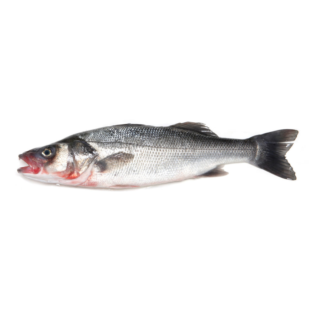 BRANZINO O SPIGOLA (GRECIA) – Vendita pesce online – Consegna gratuita ...